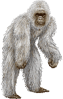yeti – Books, Bones & Buffy