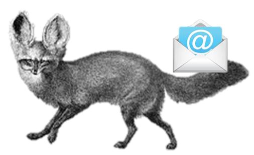 email fox – Books, Bones & Buffy